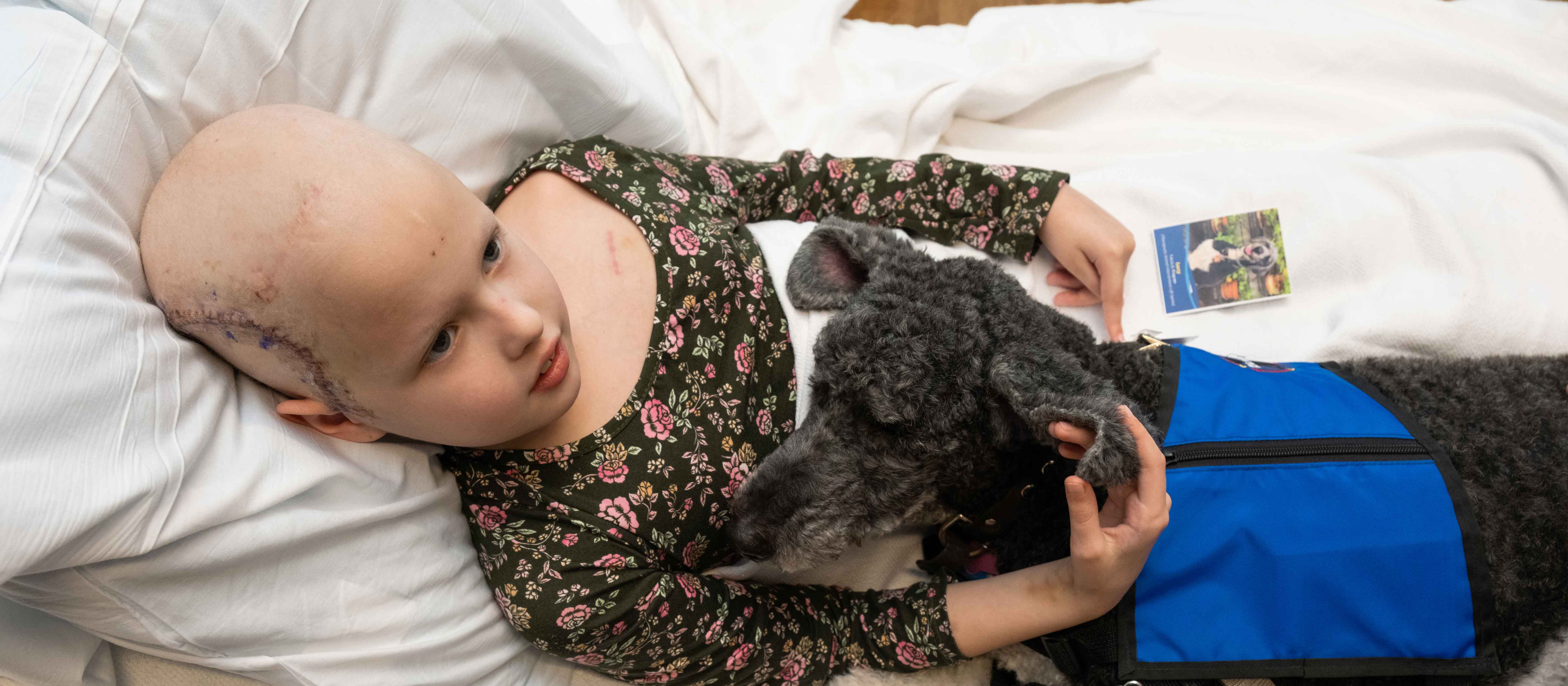 T.A.I.L.S. Animal Assisted Interventions | Arkansas Children's